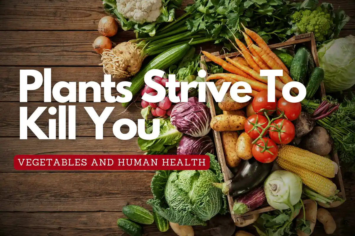 Goodbye Veggies! Exploring the Surprising Benefits of a Carnivore ...